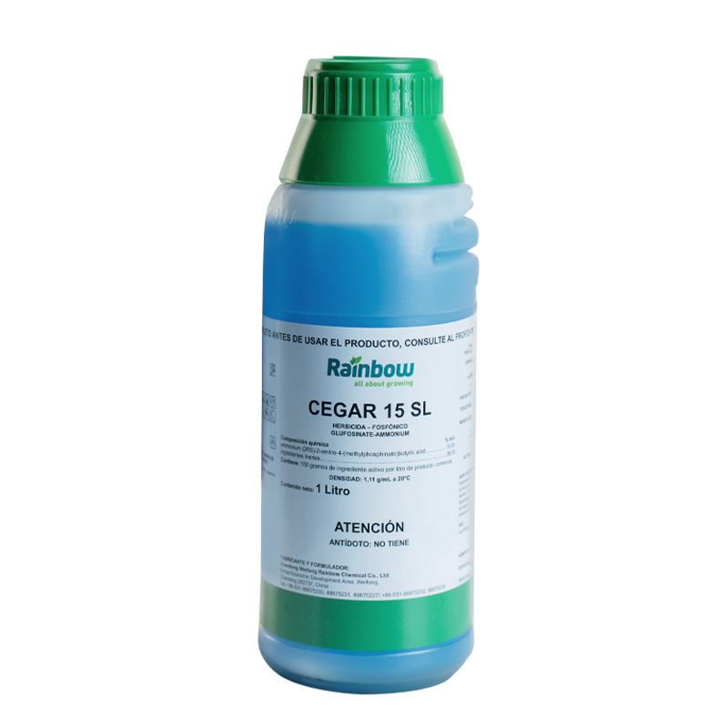 CEGAR 15 SL – Hiper Centro S.A.